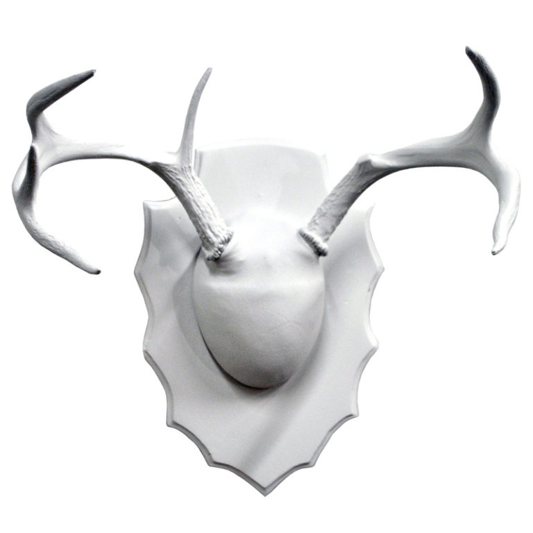 Gifts for Him - Taxidermy Mounts for Sale and Taxidermy Trophies for Sale!