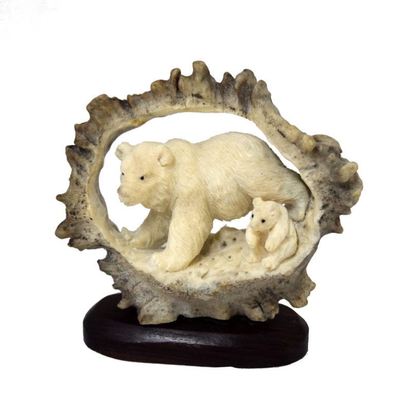 Gifts for Her - Taxidermy Mounts for Sale and Taxidermy Trophies for Sale!