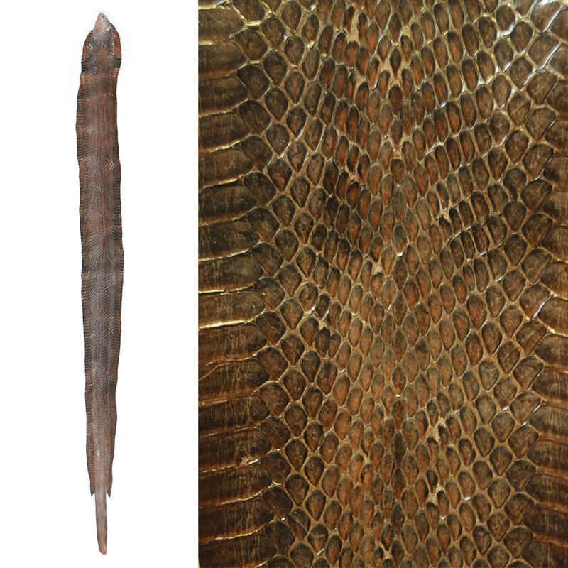 Karung Snake Skin - Taxidermy Mounts for Sale and Taxidermy Trophies ...
