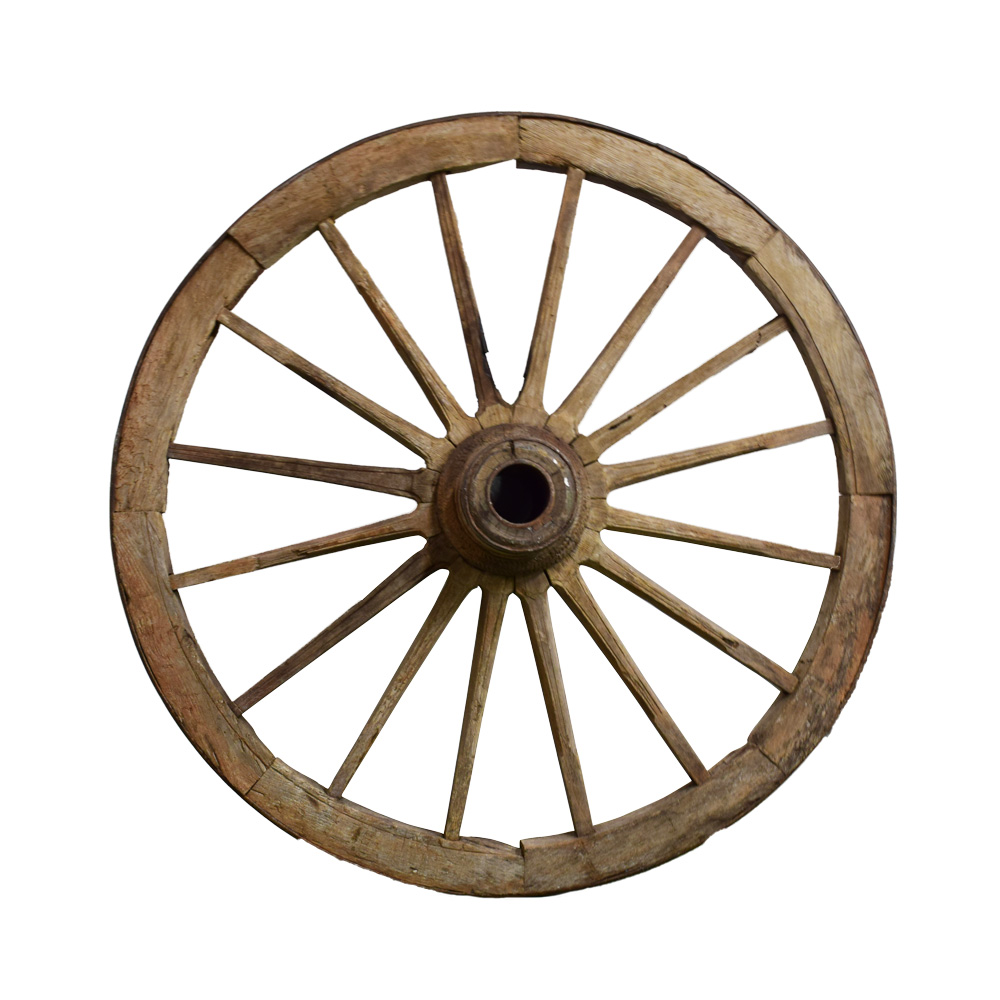 Wagon Wheel - Taxidermy Mounts for Sale and Taxidermy Trophies for Sale!
