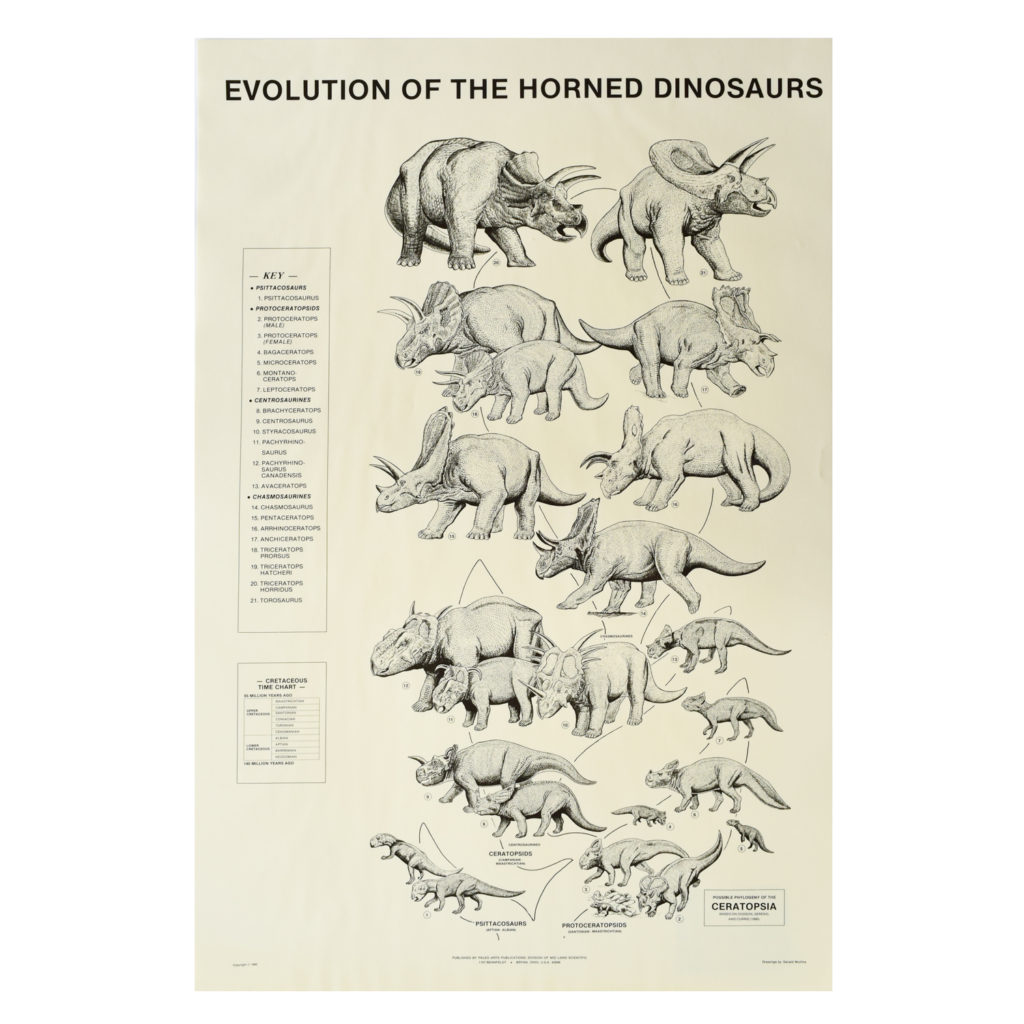 Poster-Correlated History of Earth - Taxidermy Mounts for Sale and ... Poster-Correlated History of Earth - Taxidermy Mounts for Sale and ...