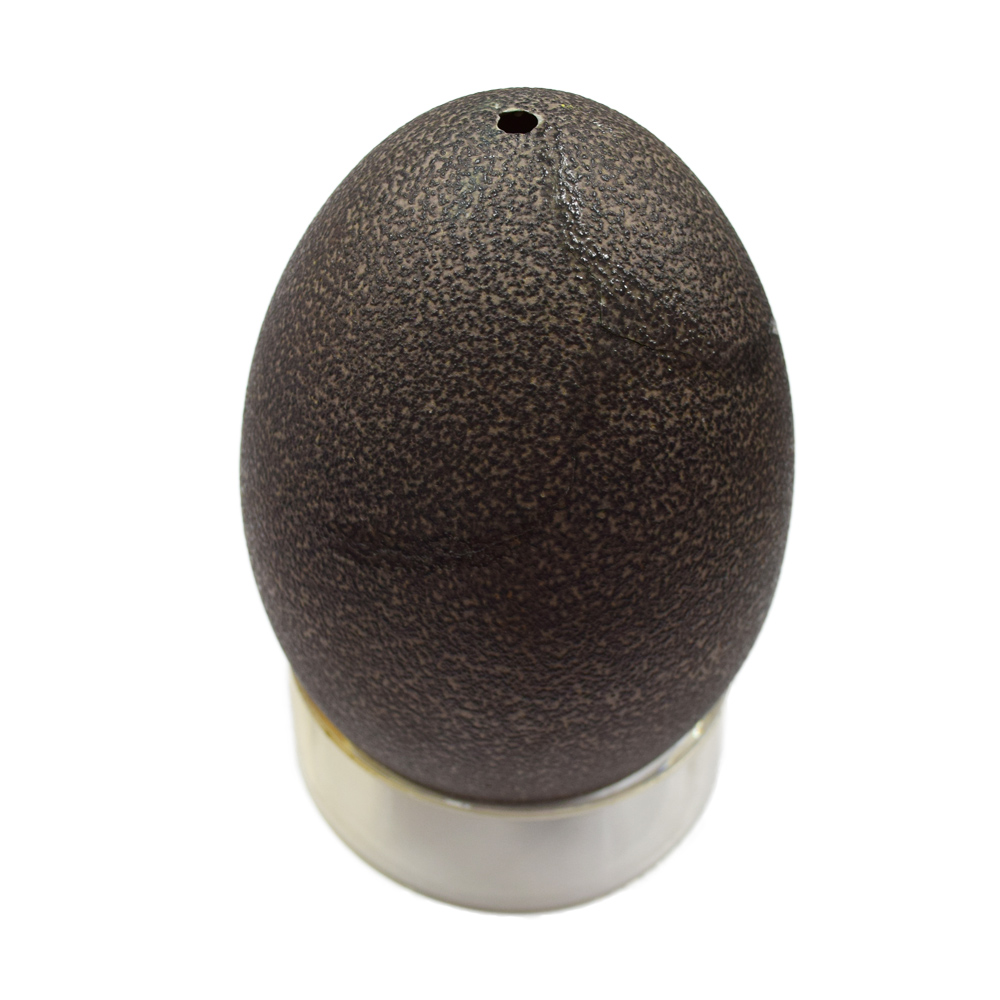 Emu Egg For Sale