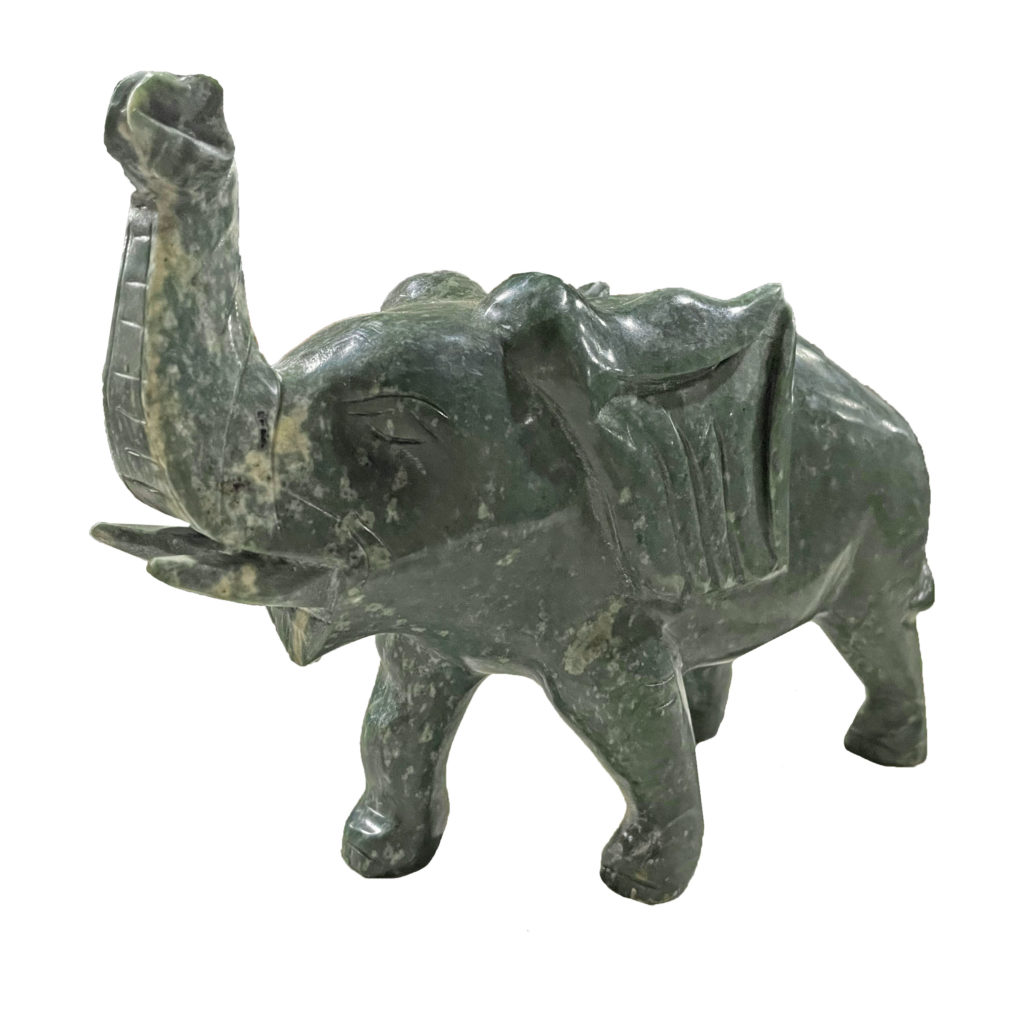 Springbok - Taxidermy Mounts for Sale and Taxidermy Trophies for Sale!